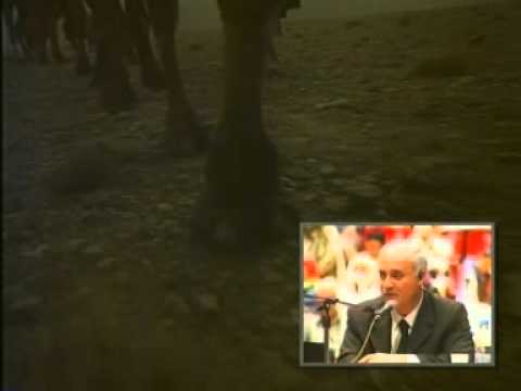 Nihat Hatipoğlu - Tebuk Seferi ve Tövbe