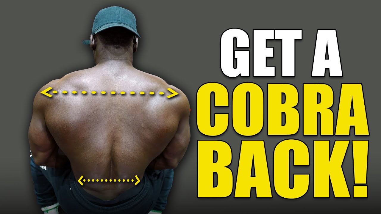 The One Workout That Made My Back Wider ( Fastest Results ) - YouTube