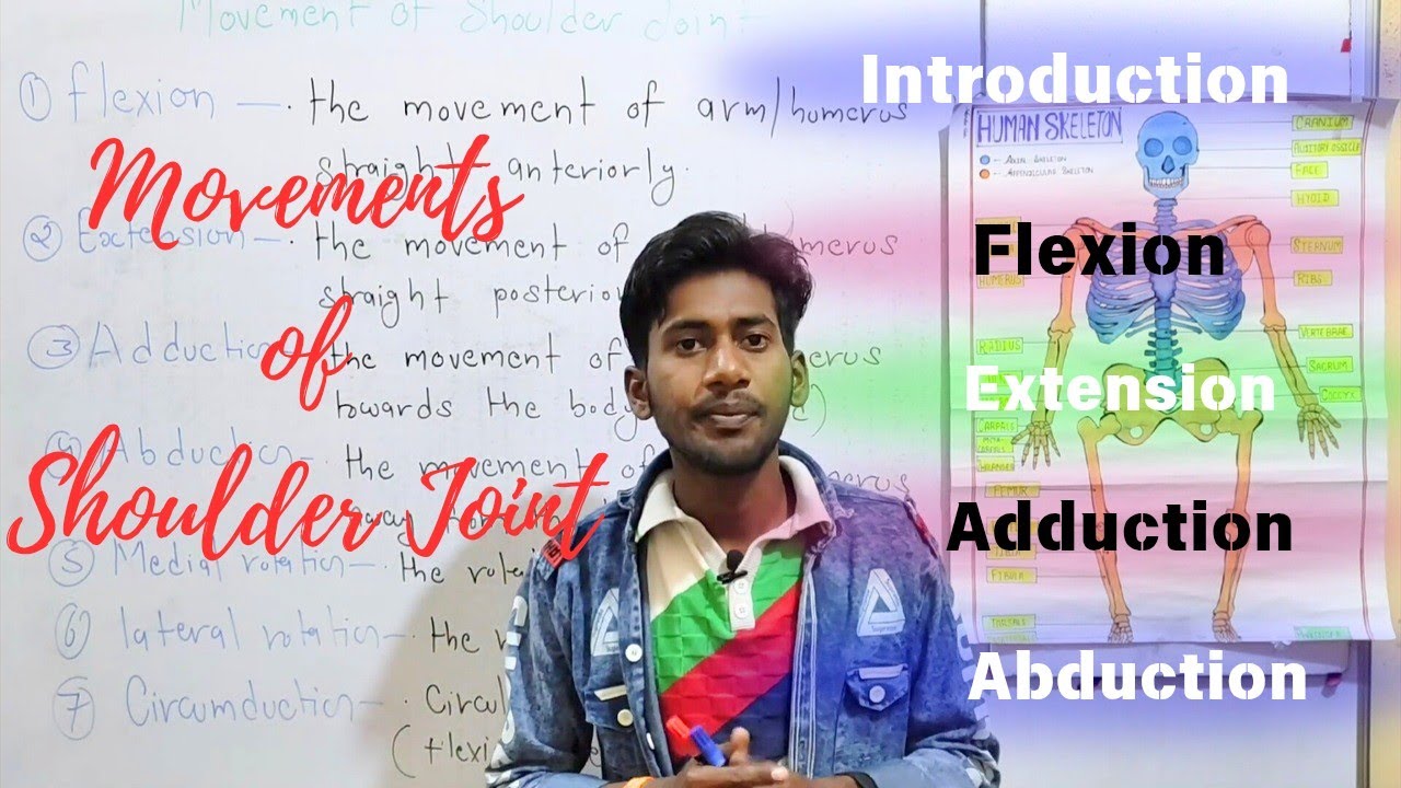 Movement of shoulder joint- flexion, extension, adduction, abduction ...