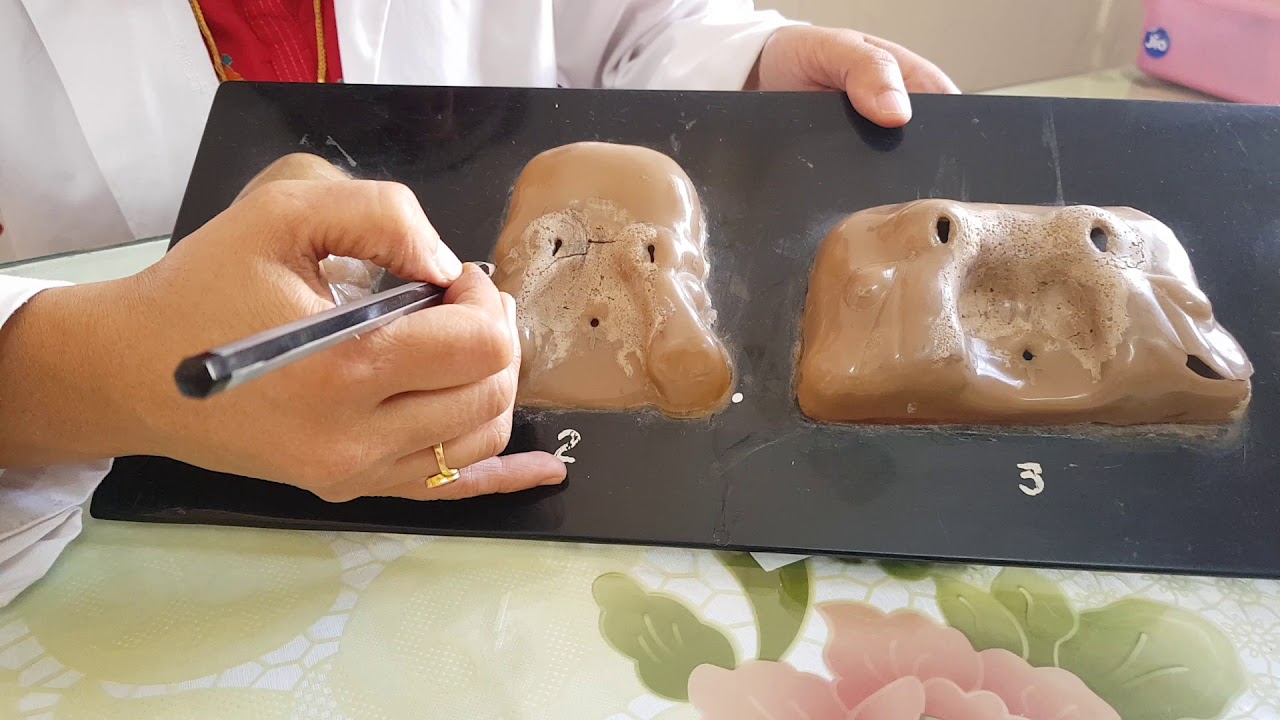 Development of face model - YouTube