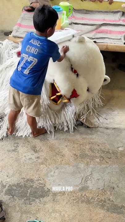 Bocil Dikagetin, kalahkan can macanan - YouTube