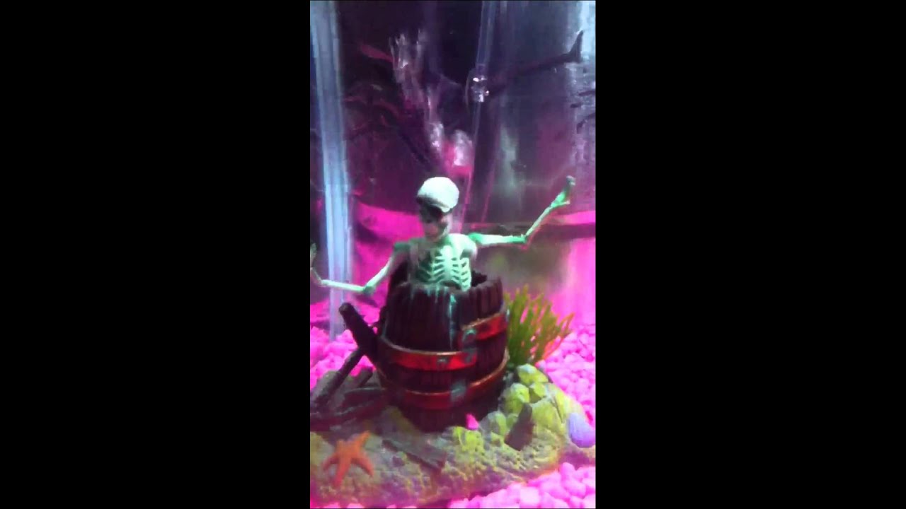 Skeleton tank decoration - YouTube
