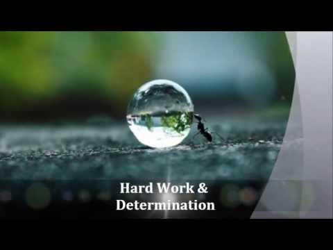 Introduction movie of Placement cell PUMBA - YouTube