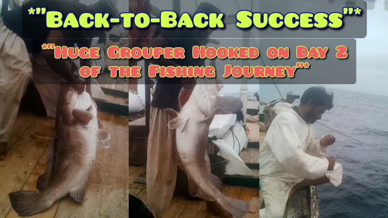 *"Back-to-Back Success: Huge Grouper Hooked on Day 2 of the Fishing ...