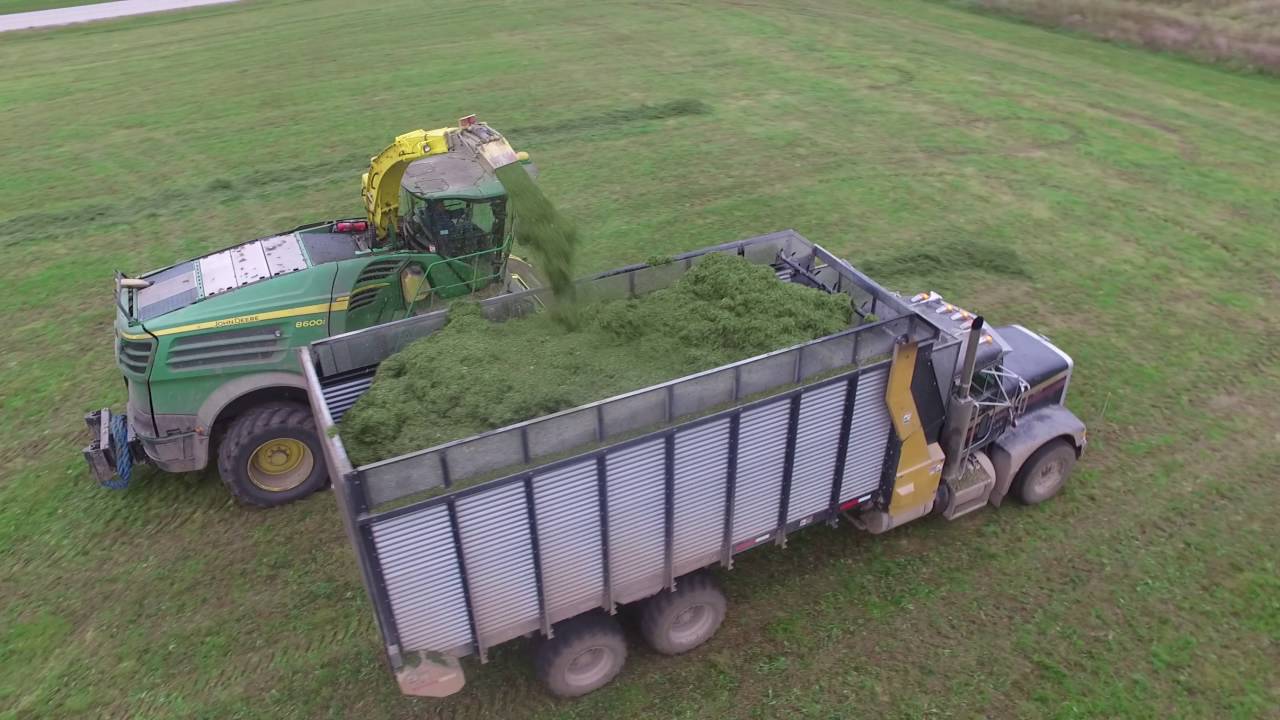 Chopping Hay 10 15 2016 - YouTube