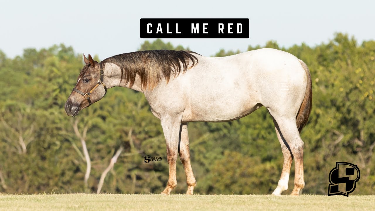 Call Me Red - YouTube