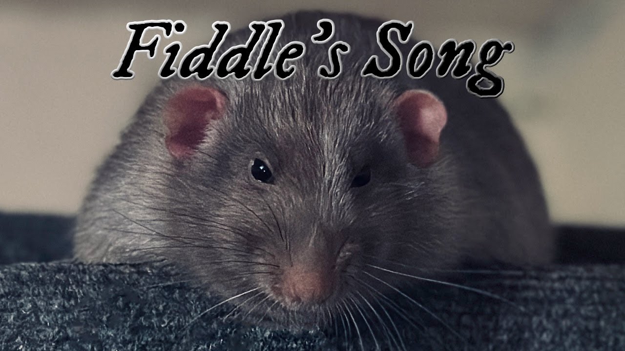 Fiddle's Song - YouTube