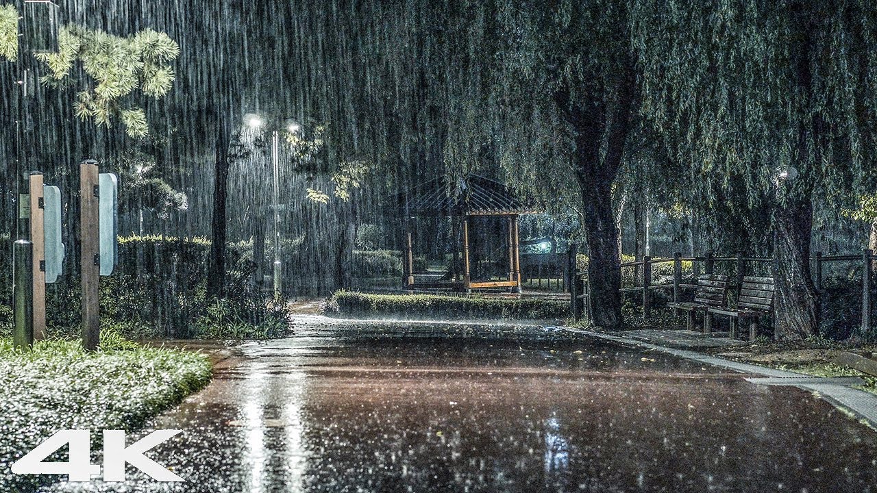 마음의 안정을 위한 비바람과 밤 공원 스트레스 And 불면증에 좋은 폭우 빗소리 백색소음 비오는소리 Asmr Youtube