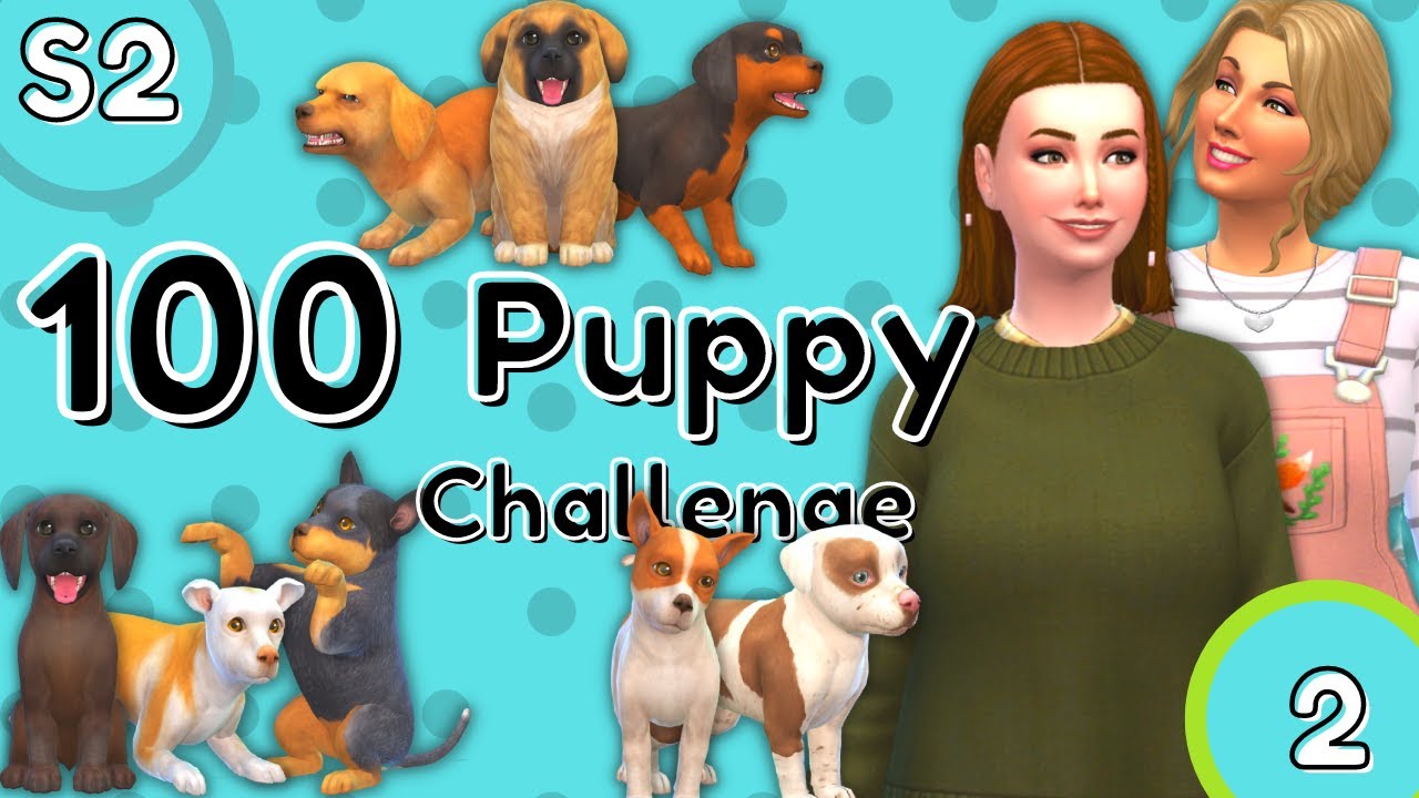 Let's Give Emma a High School Years Makeover! -100 Foster Puppy ...