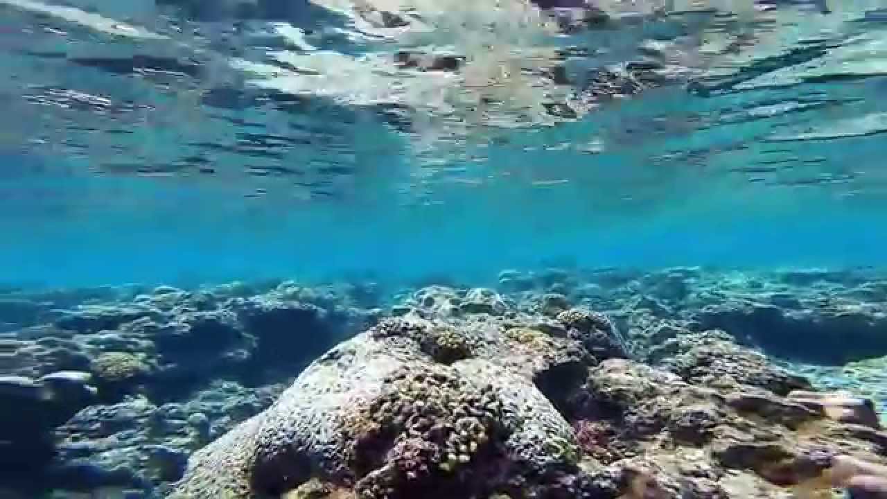 Double Reef, Guam - YouTube