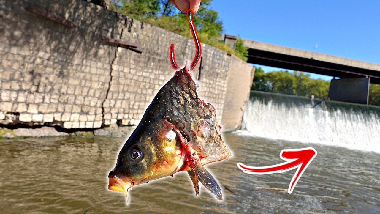 Unexpected PERSONAL BEST Catch Beneath GIANT Waterfall Spillway ...