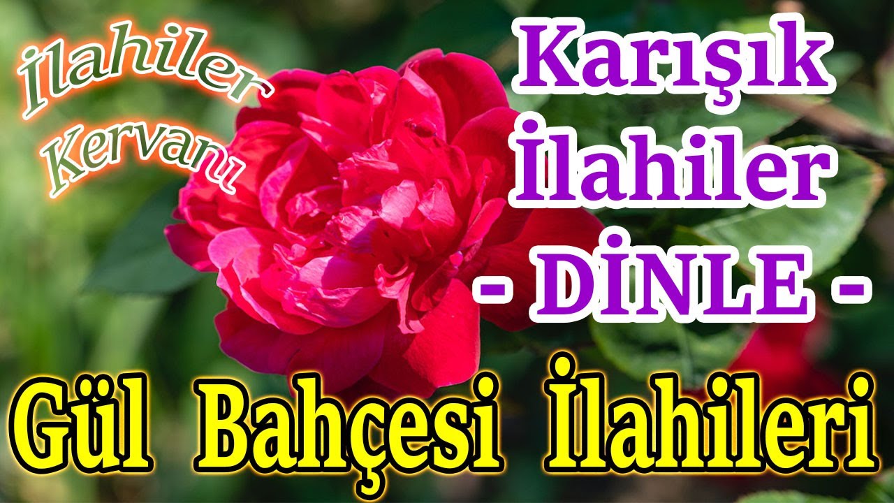En Güzel İlahiler Ve Seçkin Karışık İlahiler Dinle🌹Yeni Çıkan Seçilmiş ...