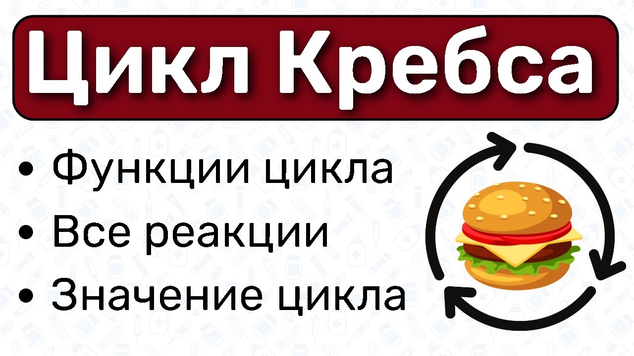 ЦИКЛ КРЕБСА Биохимия, цикл трикарбоновых кислот биохимия - YouTube