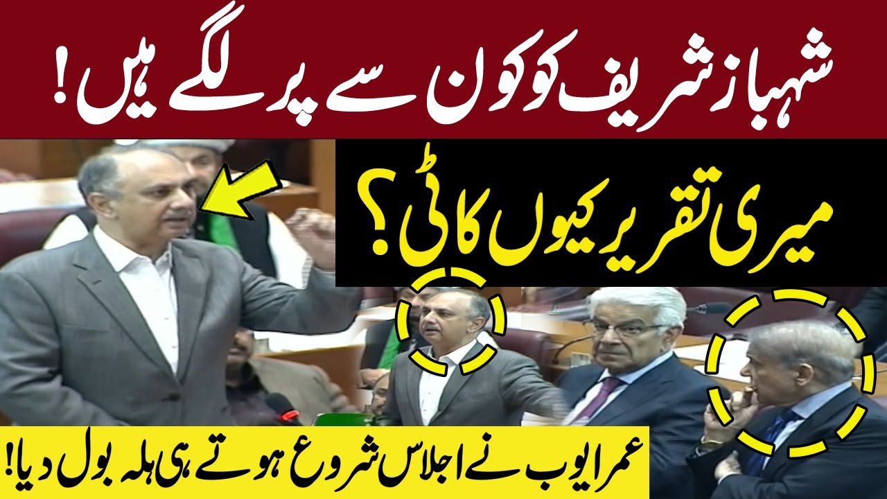 Umar Ayub Khan Hard Hitting Speech in National Assembly | Umar Ayub Big ...