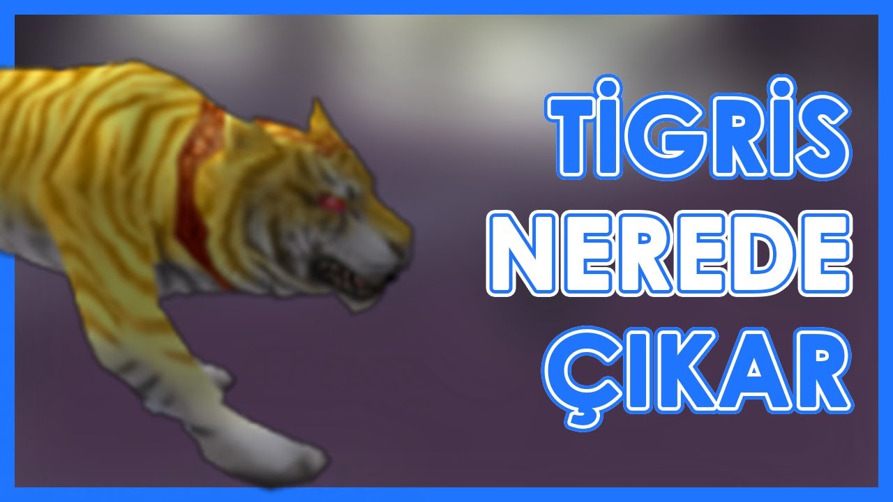 Tigris Nerede Çıkar ? | Metin2 TR - YouTube