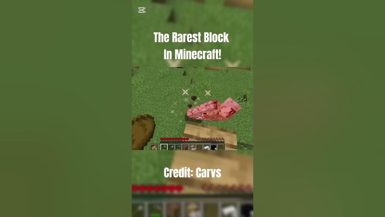 The Rarest Minecraft Block!😅 - YouTube