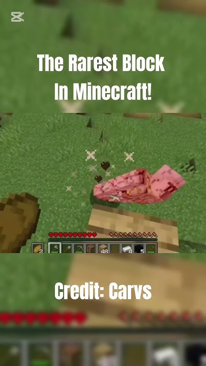 The Rarest Minecraft Block!😅 - YouTube