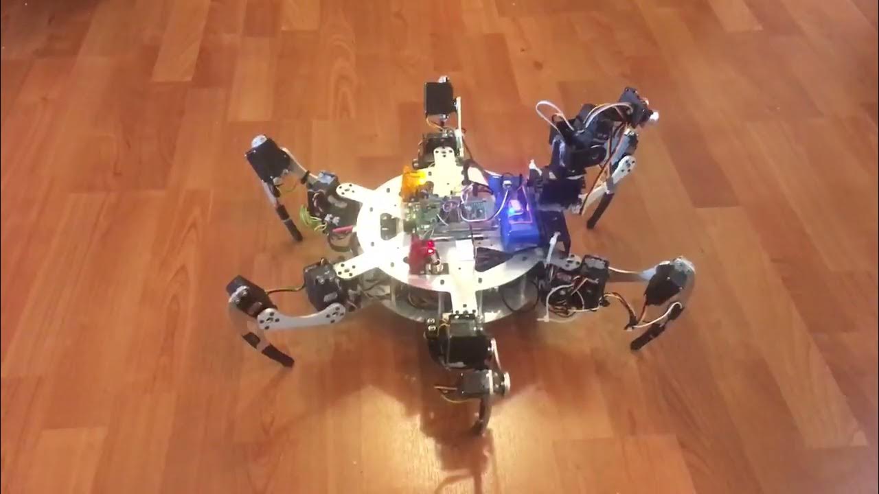 Hexapod Robot Walker - Inverse Kinematics - Many Different Gaits and Changeable Parameters ...
