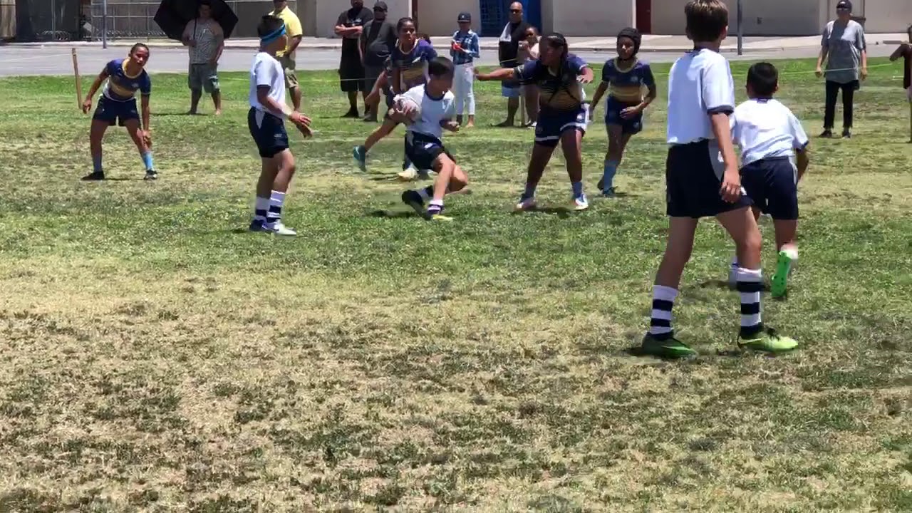 Sharkfest 2018 Sharks vs Belmont Makai dives in for the try - YouTube