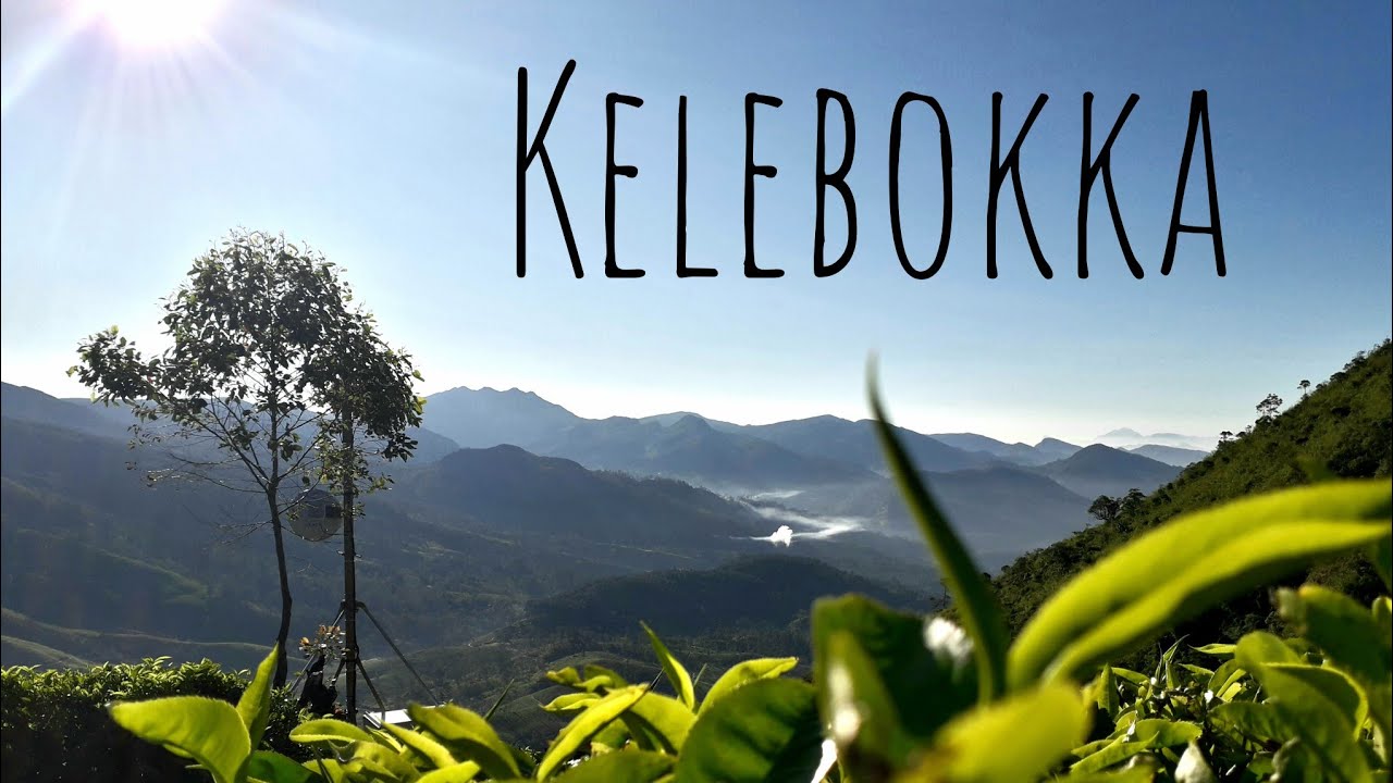 Kela Bokka in Sri lanka - YouTube