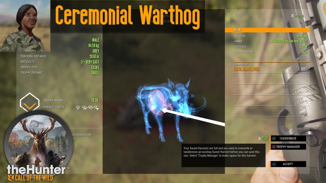 Ceremonial Warthog theHunter Call of the Wild - YouTube
