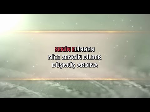 Aman Petrol - Önce Öğren Sonra Karaoke Yap-Full HD