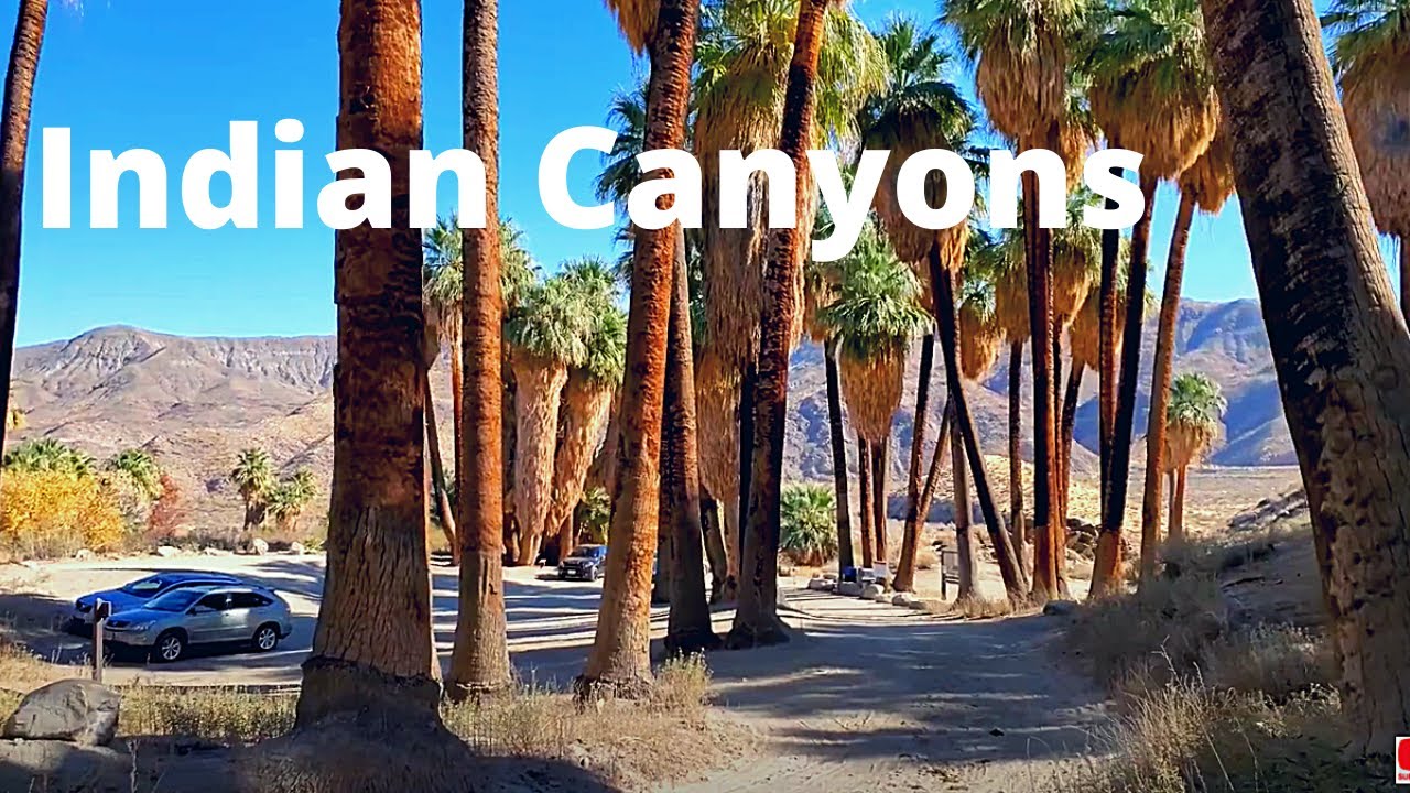 Walking around Indian Canyons, Palm Springs, CA [4K] - YouTube