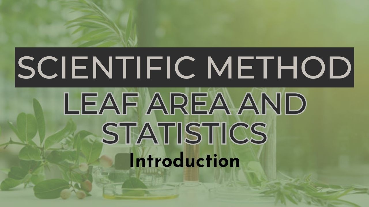 Scientific Method Lab: Introduction - YouTube