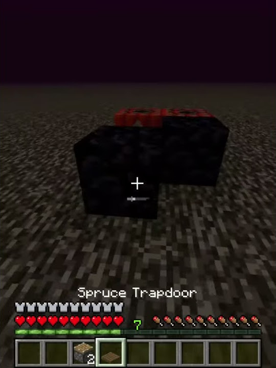 How to Break Bedrock in Minecraft 1.16! Java edition - YouTube