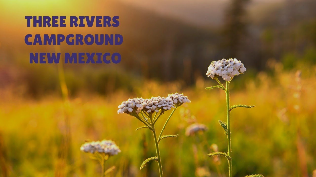 THREE RIVERS CAMPGROUND AND PETROGLYPH SITE NEW MEXICO/AMAZING ROCK ART ...