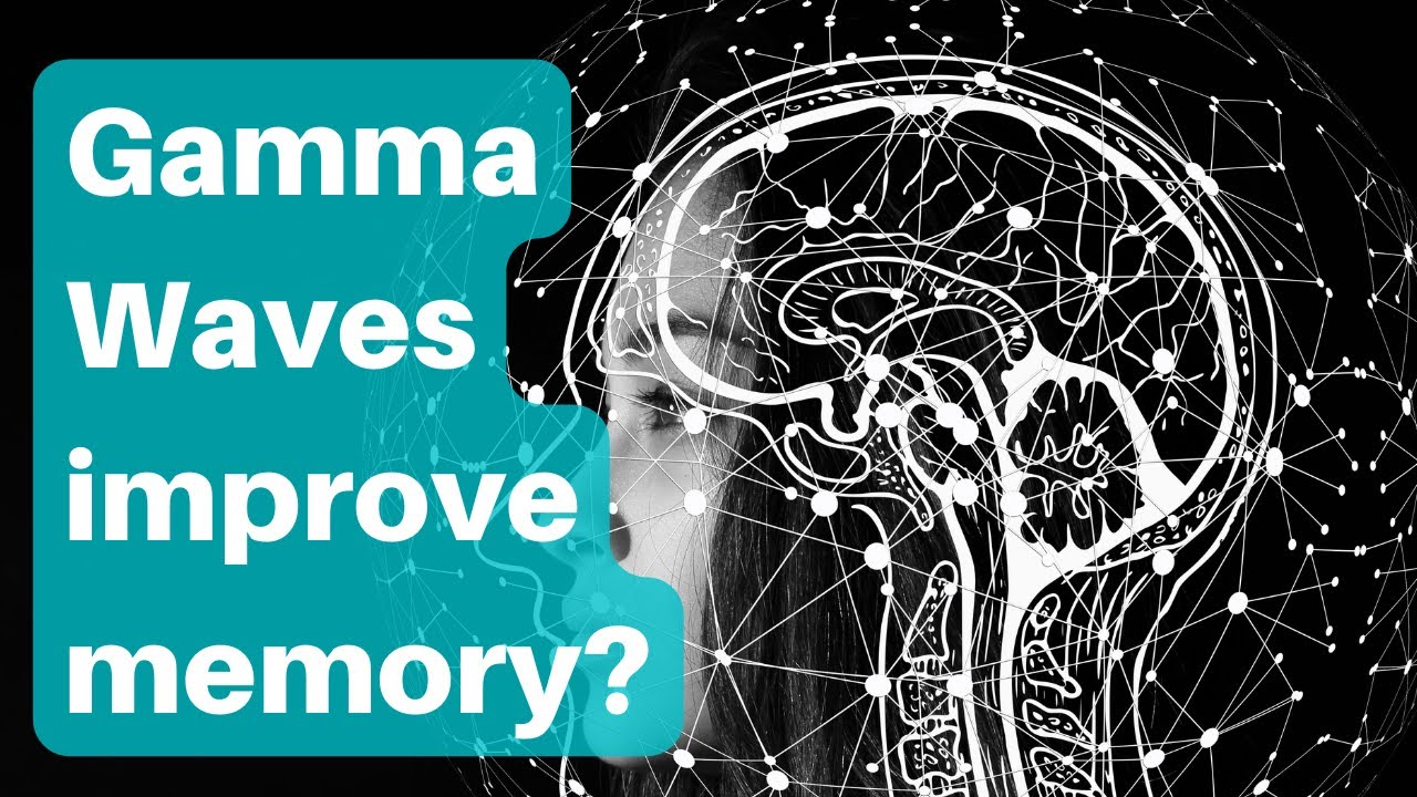 Can Gamma Waves improve memory - YouTube