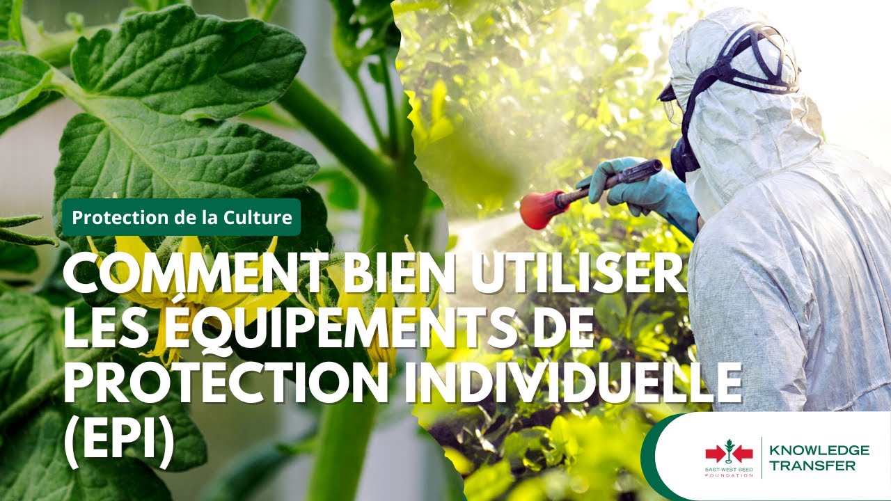 Protection de la culture partie 6 - Comment bien utiliser les ...