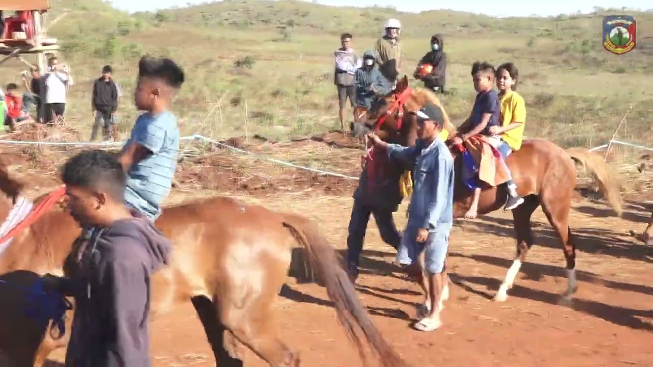 PAHOMBA "PACUAN KUDA" Umbu Ratunggay SUMBA TENGAH #sandelwoodSumba # ...
