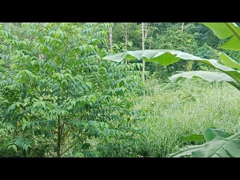 Good evening september 18 Rainy night - YouTube