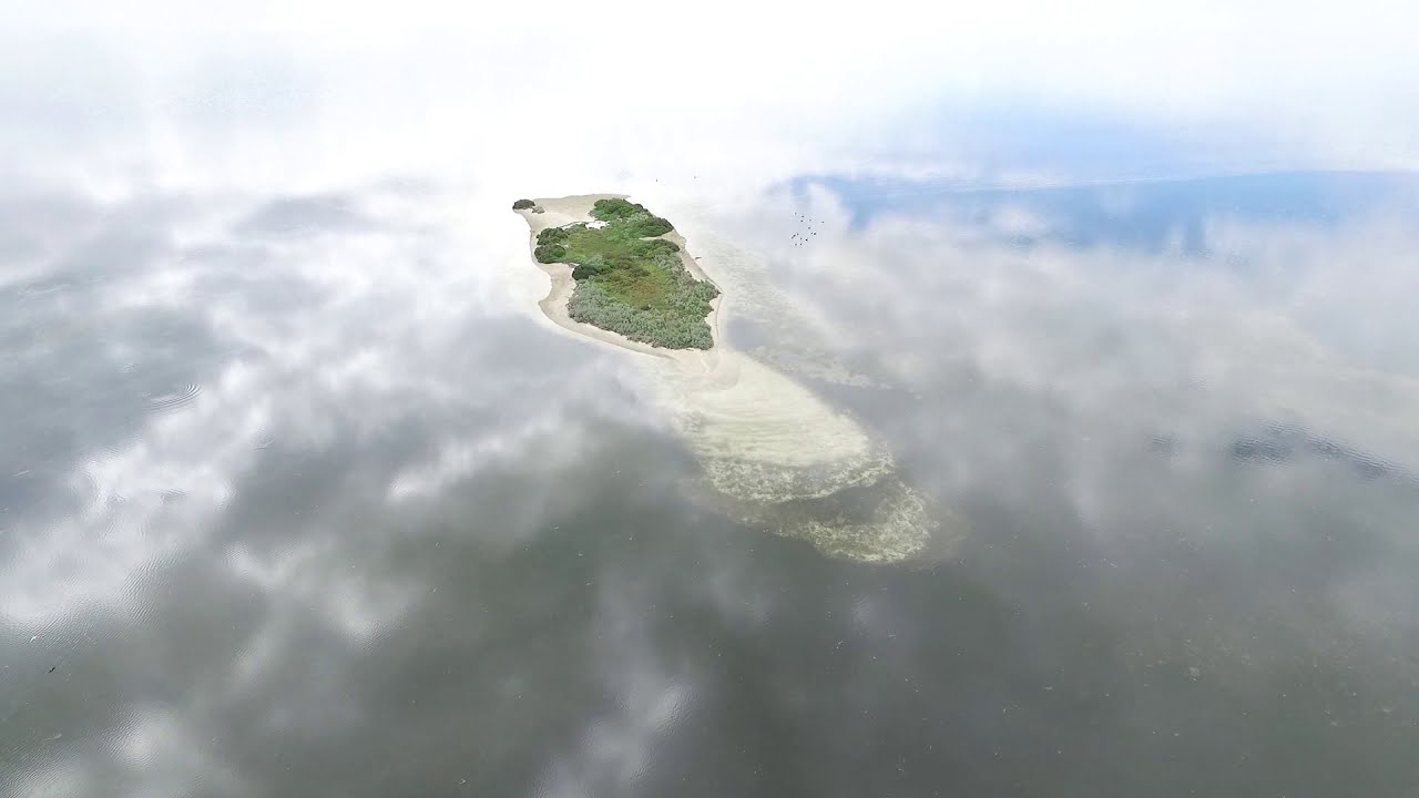 STINGAREE BAY GEELONG - YouTube