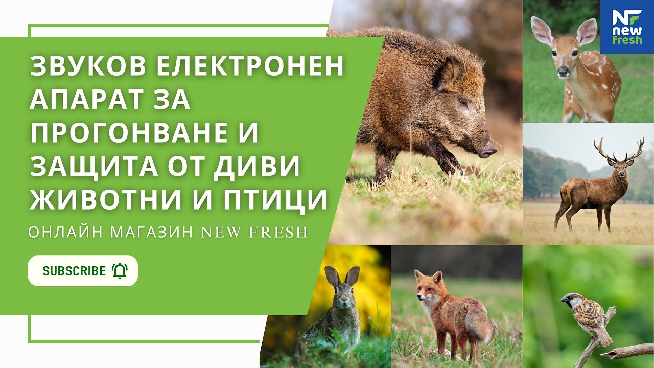Звуков електронен апарат за диви животни и птици Youtube