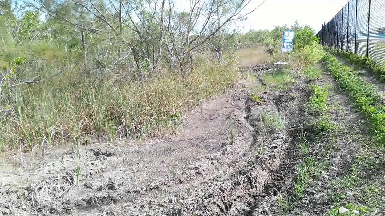 The humps florida city - YouTube