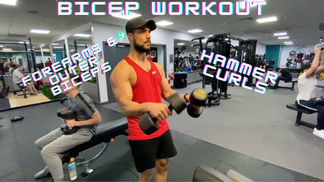 Bicep Exercise - Dumbbell Hammer Curls - YouTube