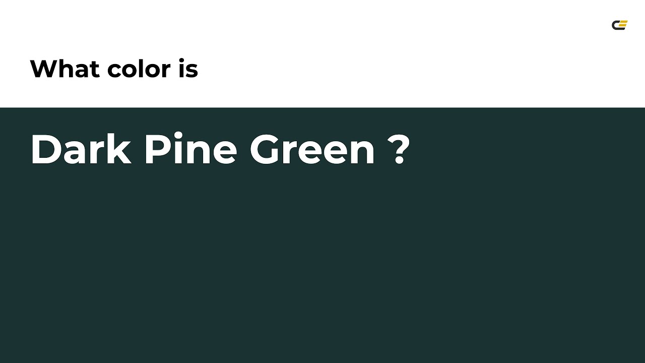 Dark Pine Green color #193232 hex color - Blue color - Warm color ...