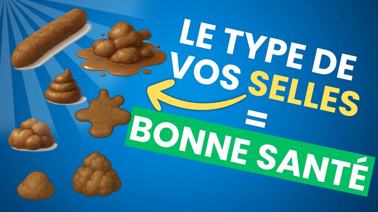 Les 12 Signaux d'Alerte dans Vos Selles : Guide Complet pour Comprendre ...