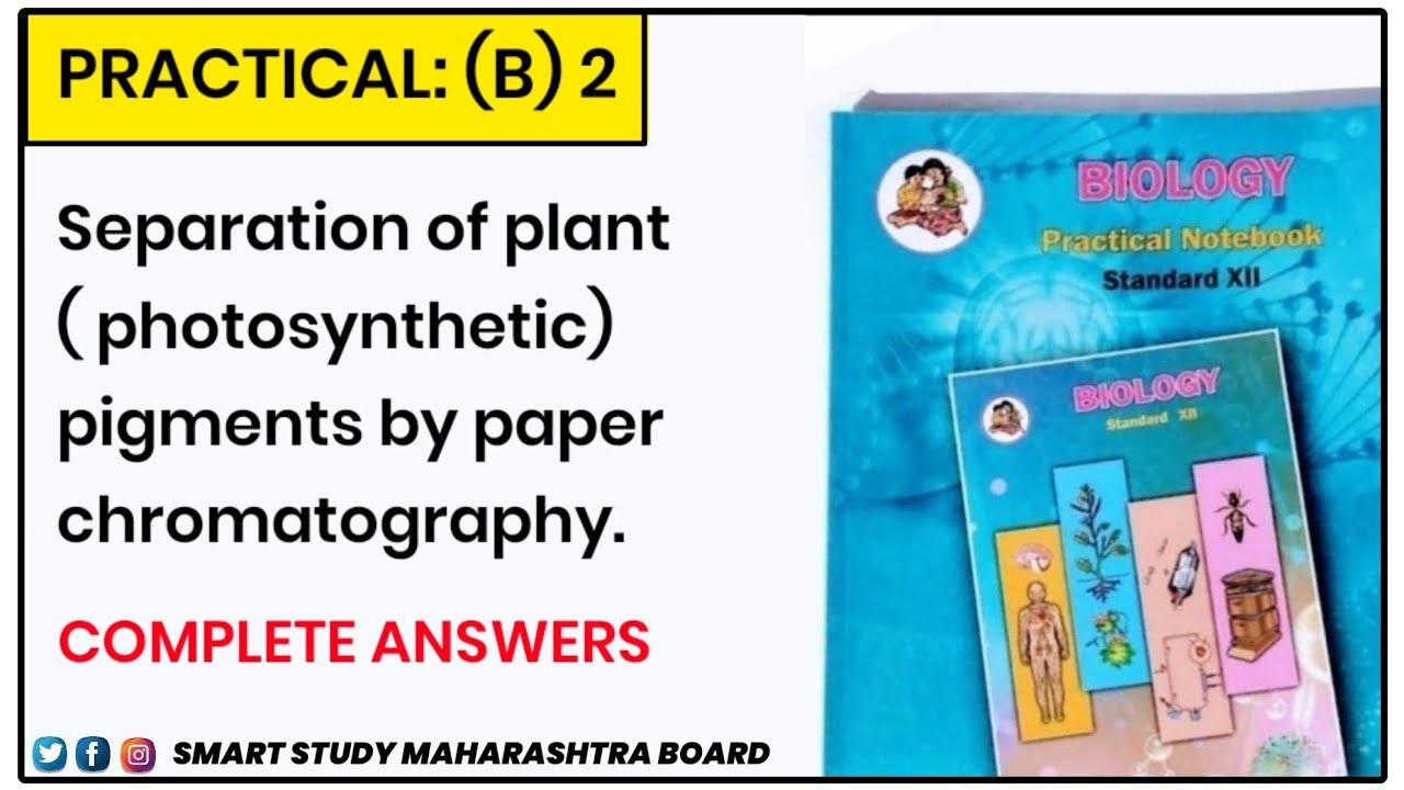 Practical (B) 2: Separation of plant pigments by paper chromatography ...