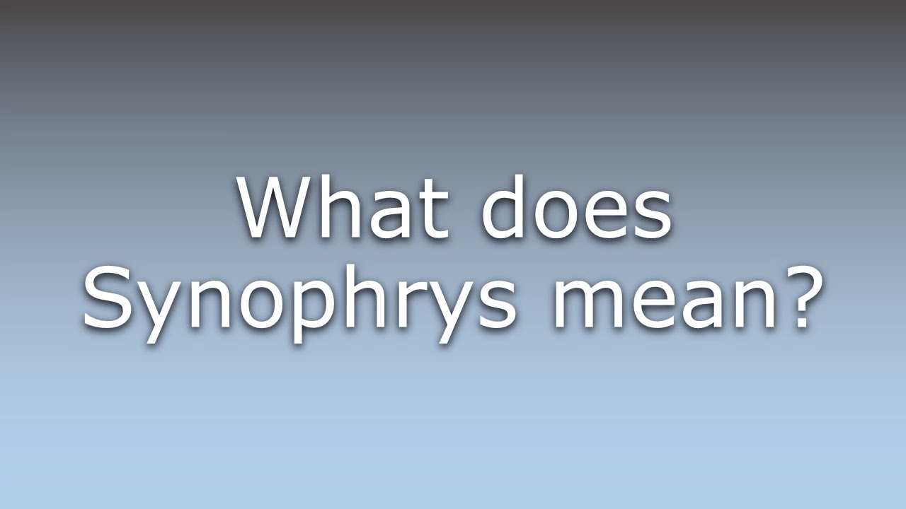 What does Synophrys mean? - YouTube