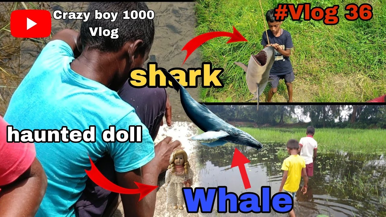 Fish pakad ke whale mil gya 🦈 - YouTube