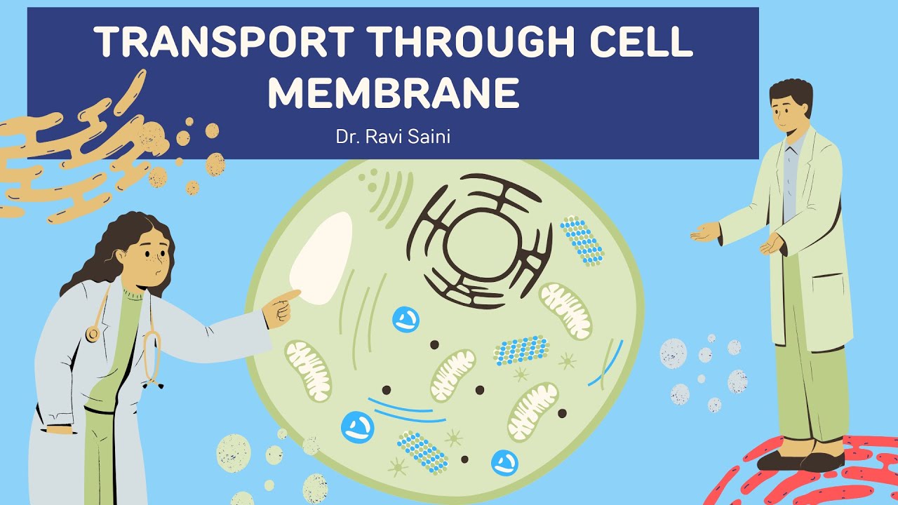 Active Transport Explained: The Science Behind Cell Survival - YouTube