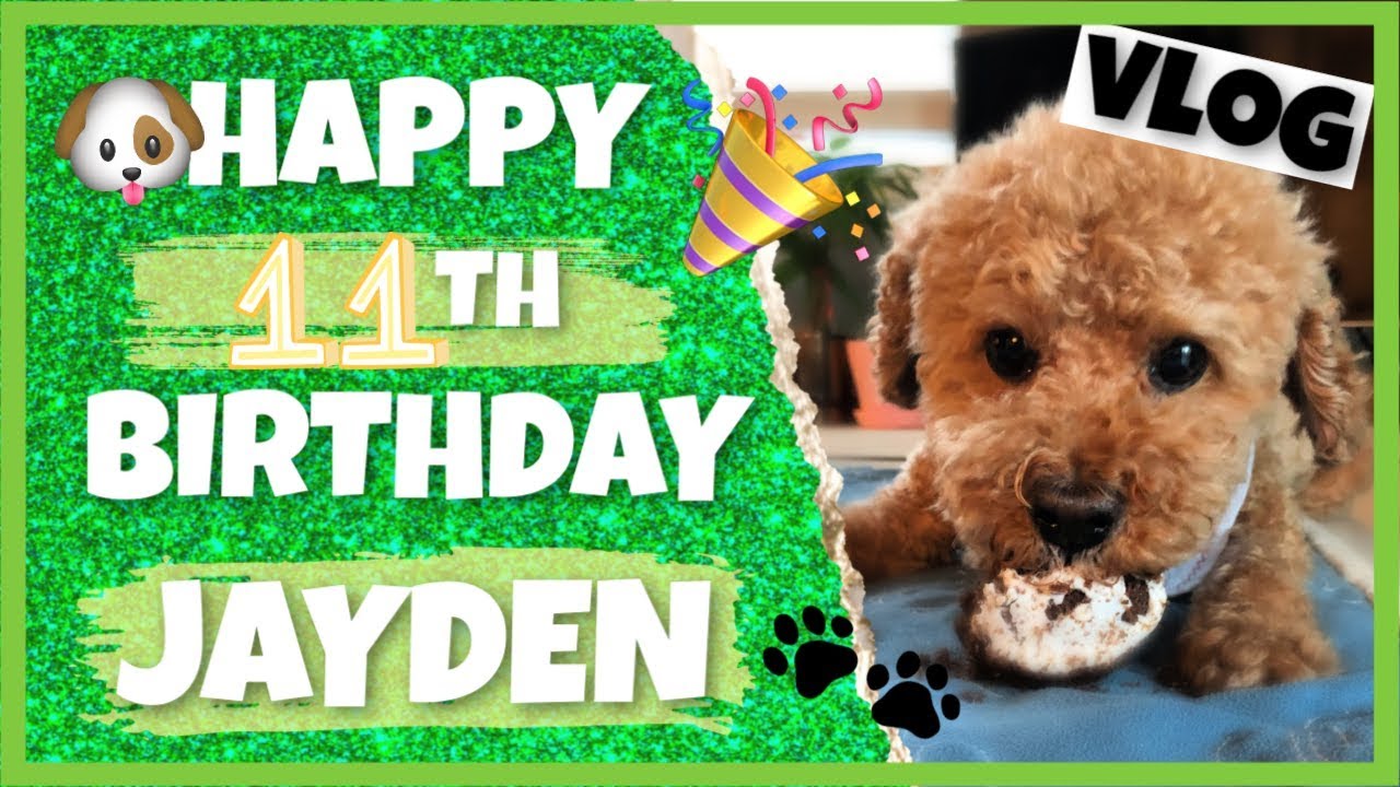 EP 9 | VLOG | HAPPY 11TH BIRTHDAY JAYDEN! - YouTube