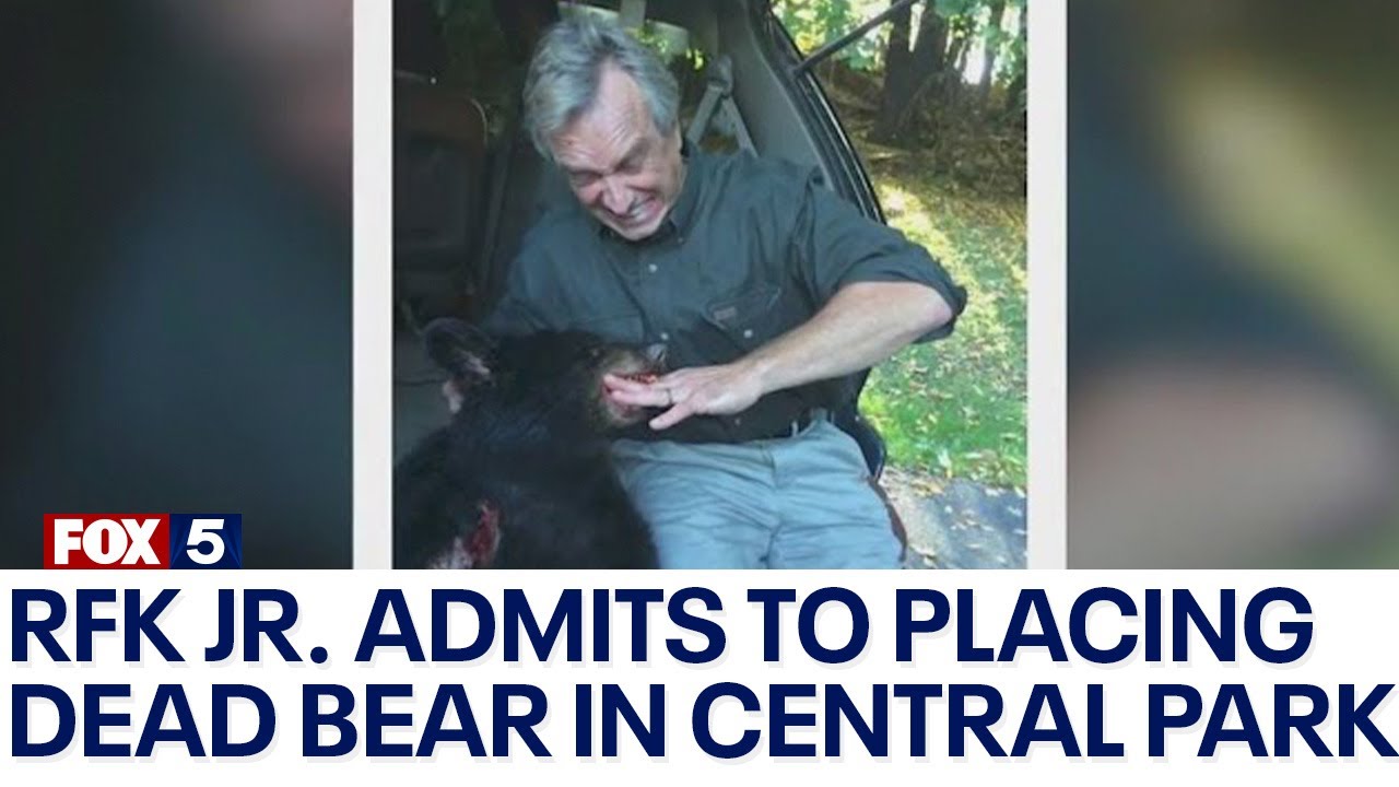 RFK Jr. admits to placing dead bear in Central Park - YouTube