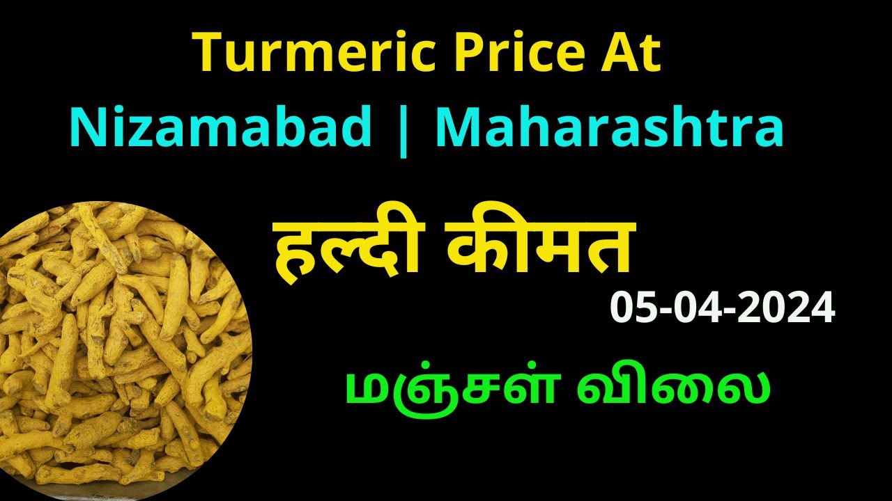 Nizamabad Turmeric Rate | Turmeric Price At Washim | Turmeric Wholesale ...