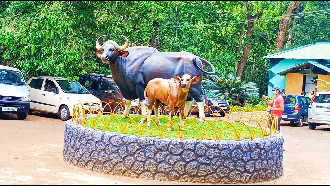 Bondla Wildlife Sanctuary Goa - YouTube