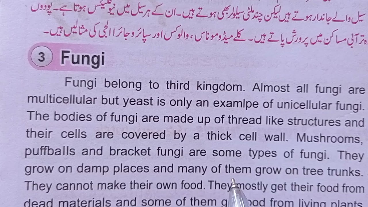 Understanding About Fungi And Examples Of Fungi 5th Class Urdu understanding-about-fungi-and-examples-of-fungi-5th-class-urdu