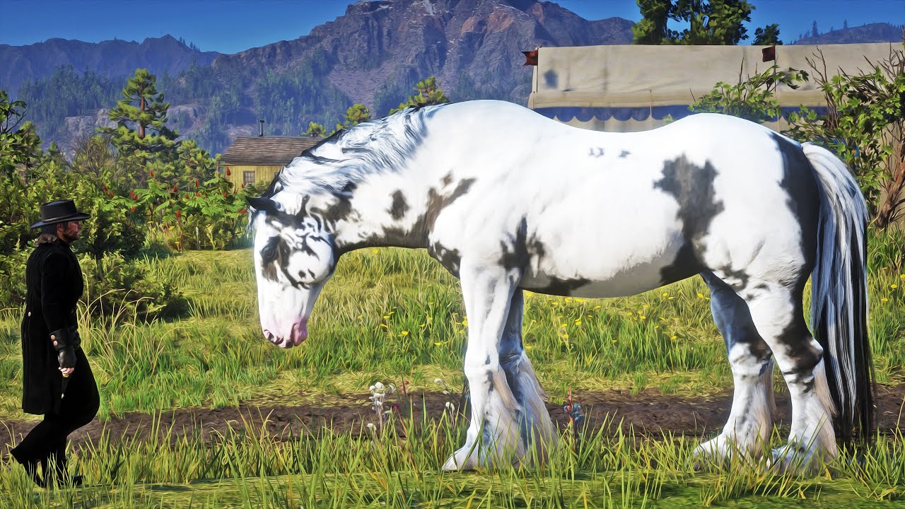 Low Honor John Marston Steals a Huge Gypsy Cob Horse from Strangers ...